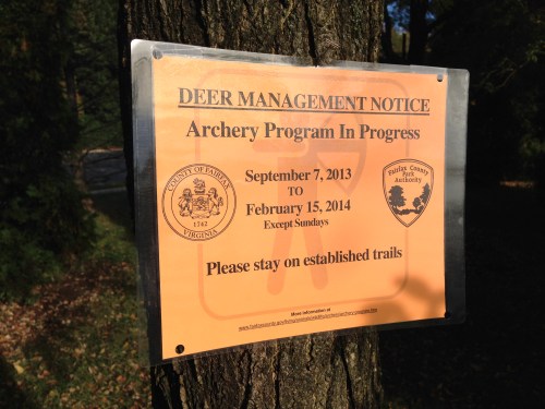 Deer and Forest; Balance and Management | Our Stories and Perspectives