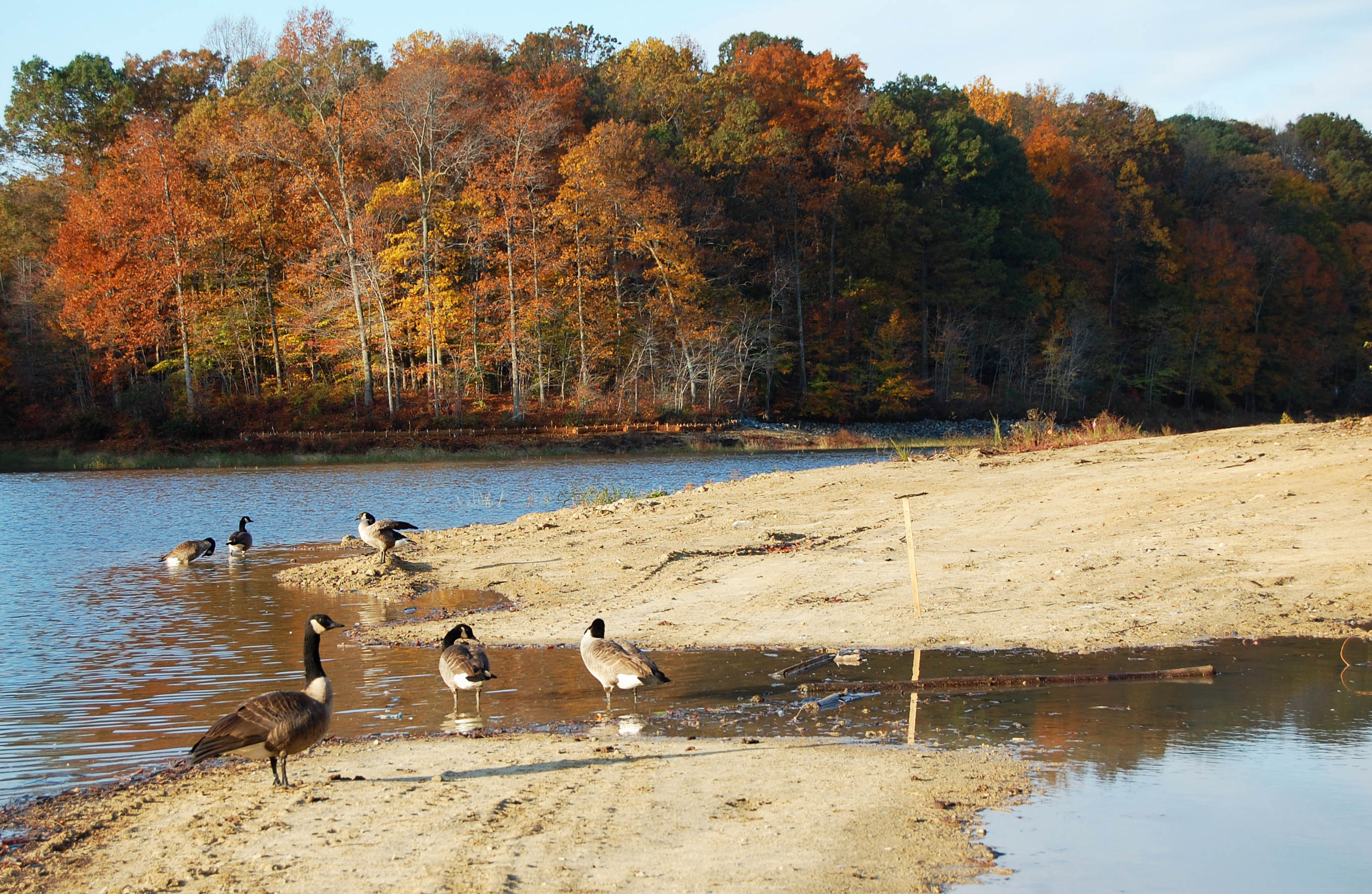 Huntsman Hole Soon To Be Huntsman Lake Again | Our Stories and Perspectives