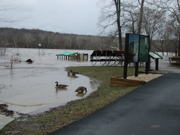 What Do Animals Do During a Rainstorm? | Our Stories and Perspectives