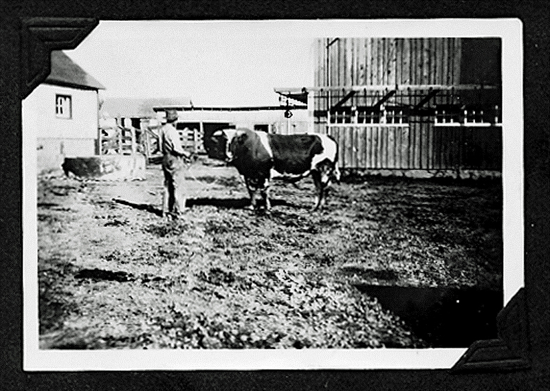 Barn to Church to Park: The History of Frying Pan’s Visitor Center ...