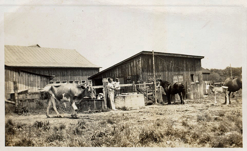 Barn to Church to Park: The History of Frying Pan’s Visitor Center ...