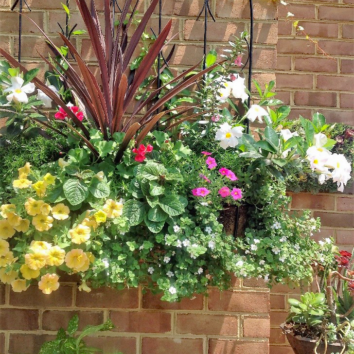Gardening for a Lifetime | Our Stories and Perspectives