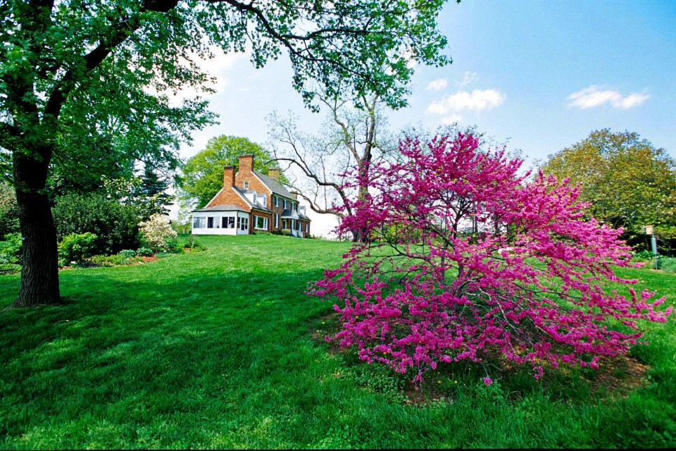 Green Spring Manor house 1 | Our Stories and Perspectives