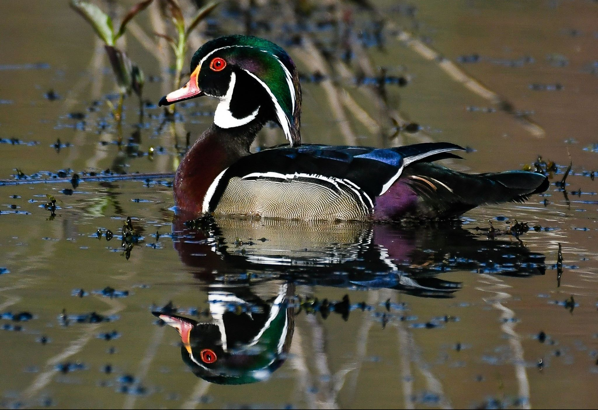 Jane Gamble 7 | Our Stories and Perspectives