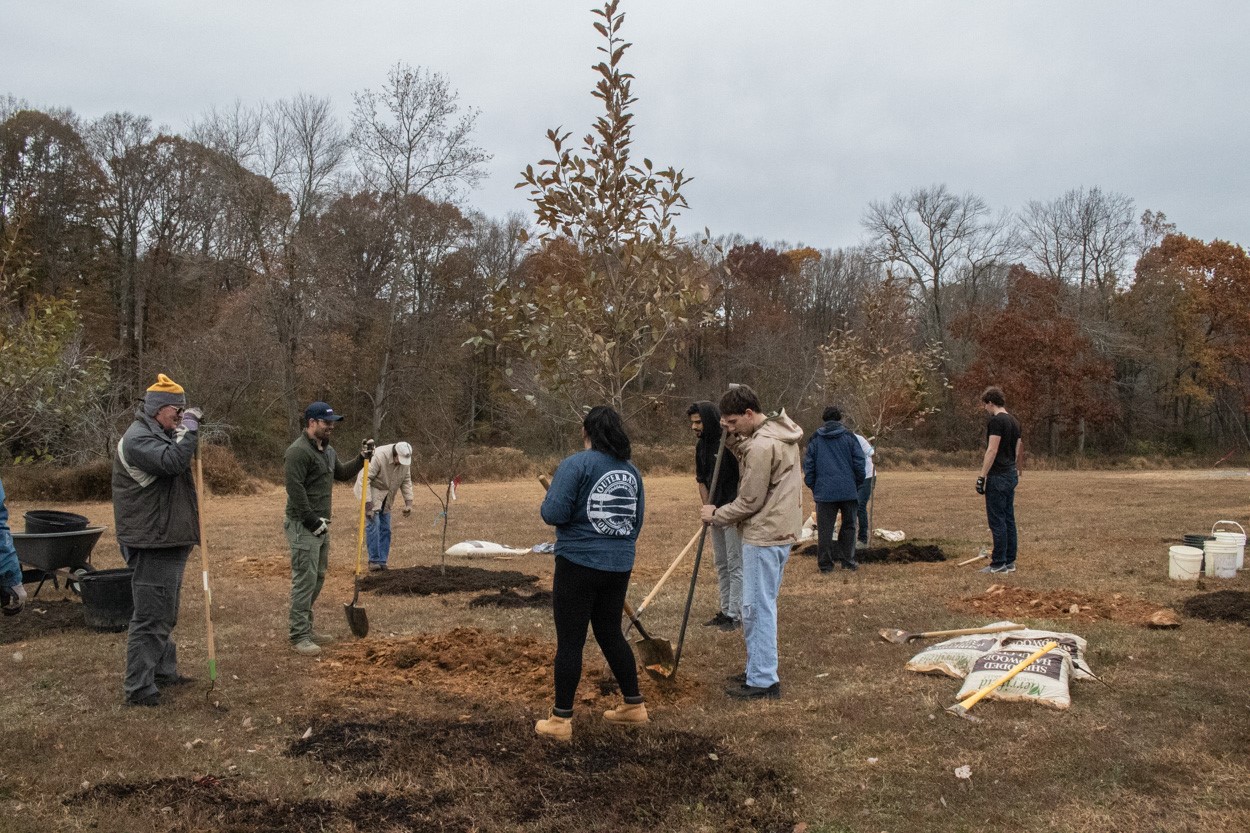 What’s the story on those new trees at Lakeside Park? | Our Stories and ...
