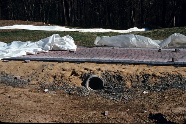 The Purpose and Workings of a Swale Garden | Our Stories and Perspectives