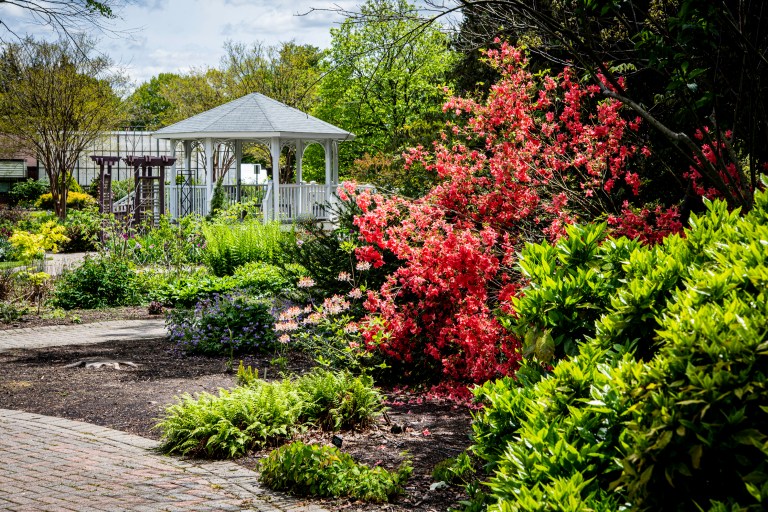 Historic Green Spring and the Importance of a Name | Our Stories and ...