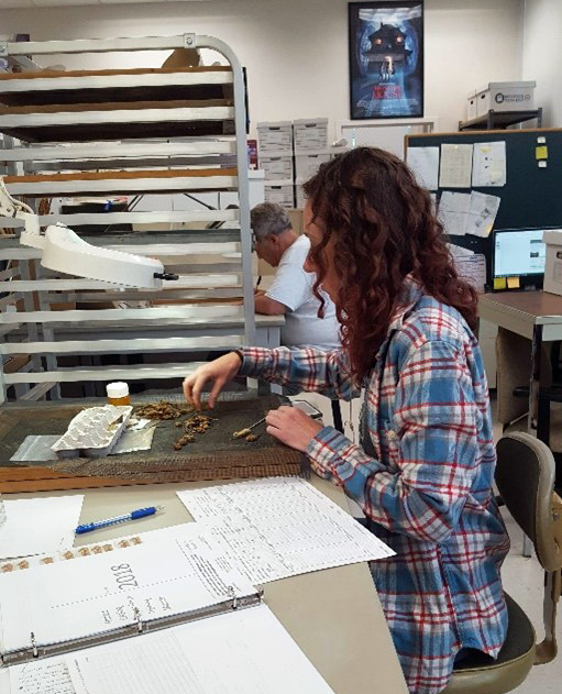 Black History Month: James Lee Center | Our Stories and Perspectives