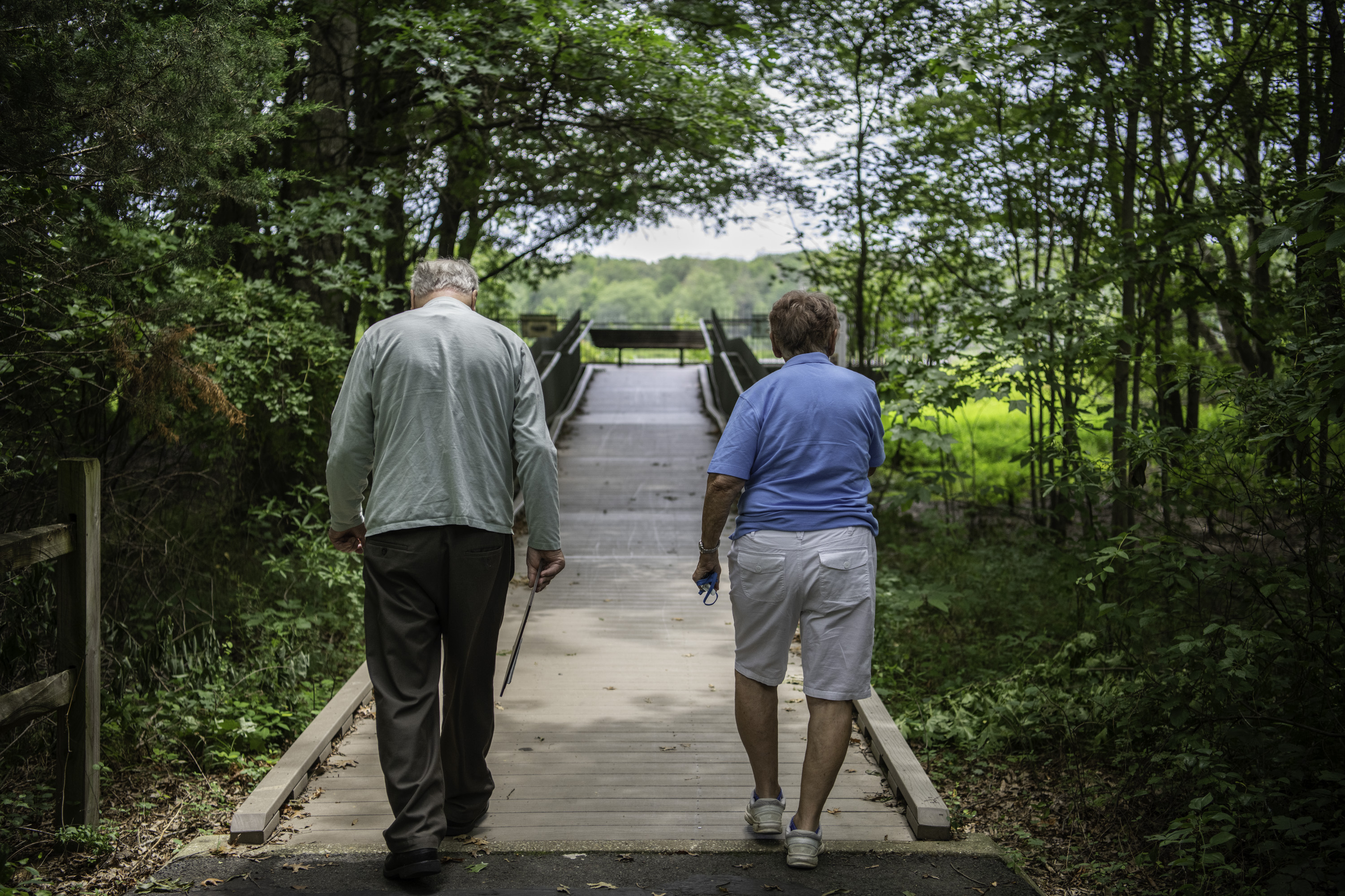 Reflections on Beginnings at Huntley Meadows | Our Stories and Perspectives