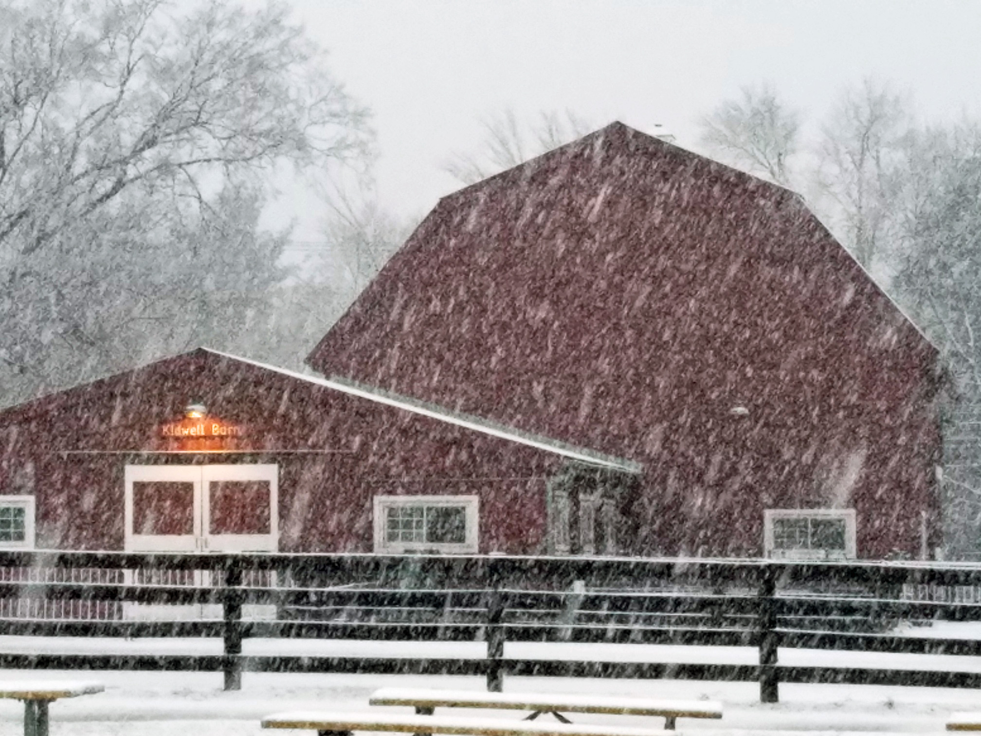 Snow Days at Frying Pan Farm Park | Our Stories and Perspectives