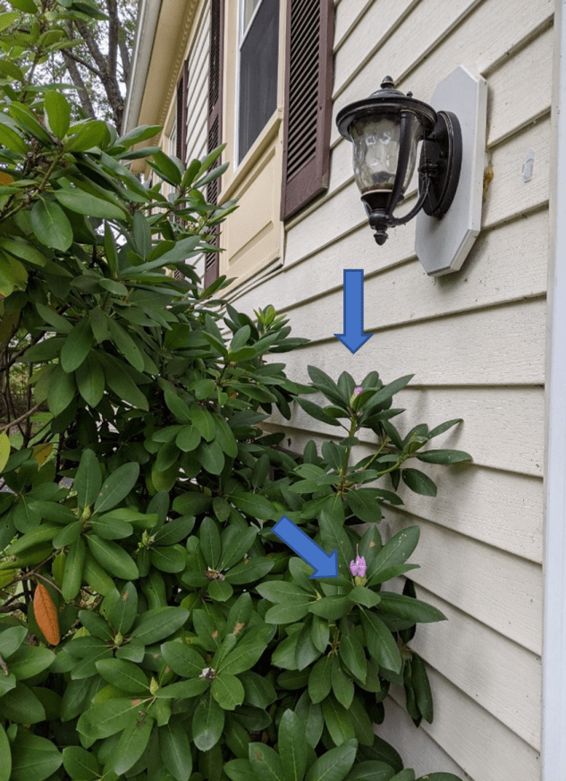 A dark sky is necessary for plants and animals to thrive | Our Stories ...