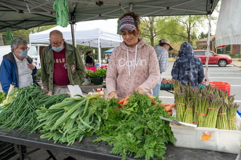 Discovering Fairfax County Parks: An Intern’s Adventure (#8: Farmers ...