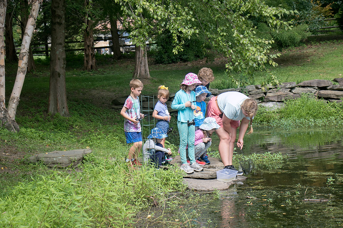 Discover and Protect Nature: Join the City Nature Challenge 2025! | Our ...